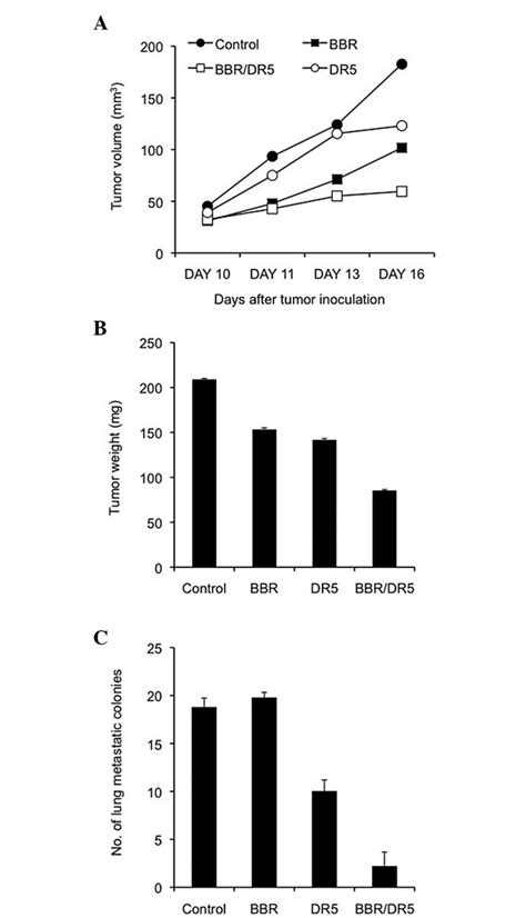 Adjuvant Effect Of Bbr In Dr5 Targeted Therapy In A Murine 4t1 Breast Download Scientific