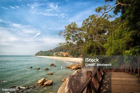 콴탄의 놀라운 자연 자연 그대로의 자연으로 유명한 최고의 콴탄 해변 리조트 열대 자연 식물 모래 해변 해안선 바위와 파도가 있는 바다 석호의 다리 또는 나무 부두 0명에