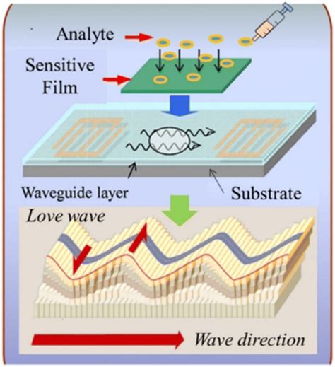 Surface Acoustic Wave Based Microfluidic Devices For Biological