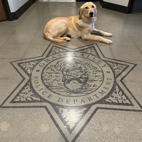 Modoc County Sheriffs Modoc County Sheriffs Office