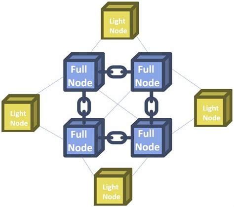 light nodes and full nodes download scientific diagram