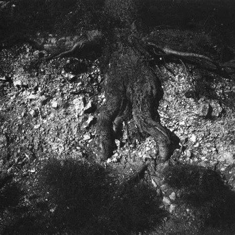 Peyrepertuse On Tumblr