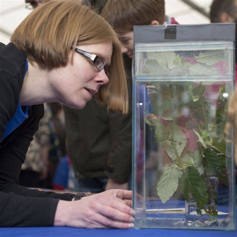 Dr Lesley Morrell University Of Hull