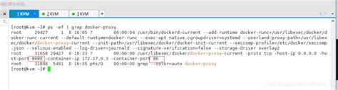 Docker容器访问外部世界 南宫乘风 博客园 Docker容器访问外部世界 南宫乘风 博客园