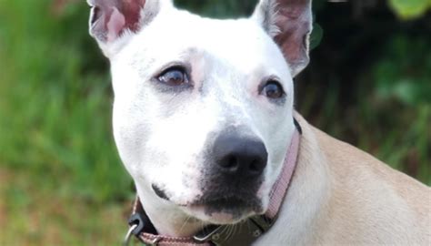 Marley Simone Solace