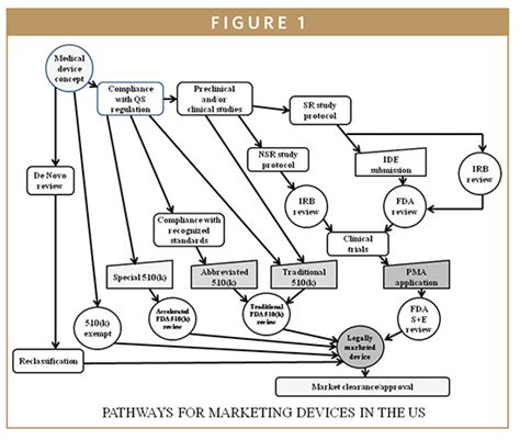 Biomarkers Fdas Design Control Requirements For Biomarkers In Drug Development