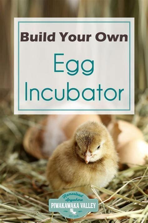 How To Make An Incubator Diy Egg Incubator Step By Step With Pictures Artofit
