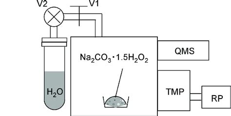 Experimental Setup For Measuring The Release Of H2O2 Molecules From S Download Scientific