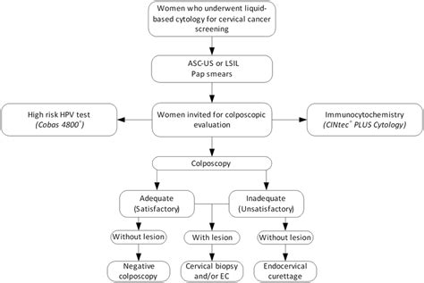 Flowchart Of The Colposcopic Examination And Research P16ki 67 And