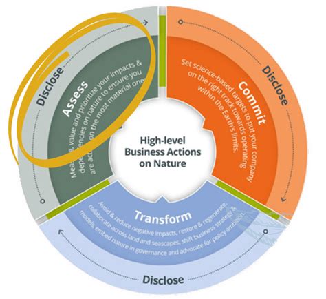 A3 Step 3 Choose The Right Framework Business For Biodiversity Ireland