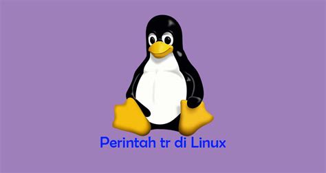 Contoh Penggunaan Perintah Tr Di Linux Terminal Linuxid