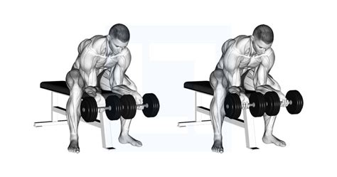 Wrist Circles Guide Benefits And Form