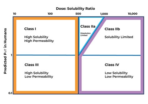 Bioavailability Can We Improve It Sygnature Discovery