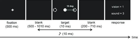 The Schematic Representation Of The Procedure Used In The Temporal
