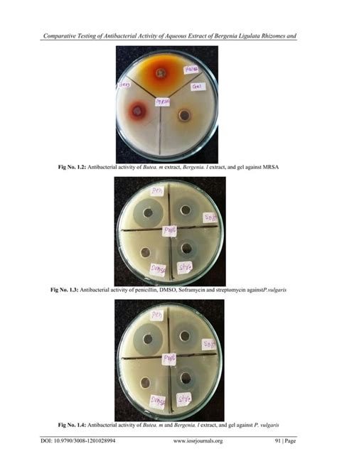 Comparative Testing Of Antibacterial Activity Of Aqueous Extract Of