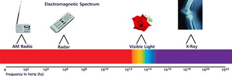 Examples Of Radiant Energy