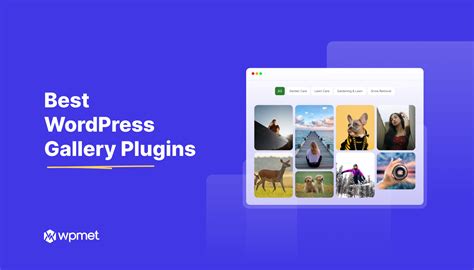 8 Best Wordpress Gallery Plugins In 2025 Wpmet