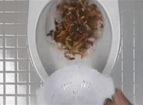 Woman Flushing Pasta