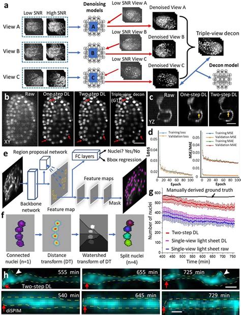 neural network schematics a workflow for two step deep learning