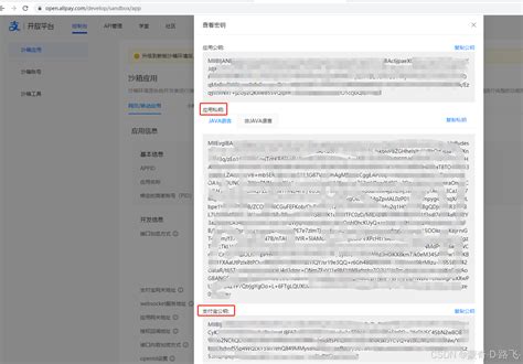 Springboot沙箱环境支付宝支付支付宝沙箱模拟支付报502 Csdn博客