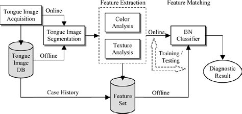 Figure 1 From Computerized Tongue Diagnosis Based On Bayesian Networks