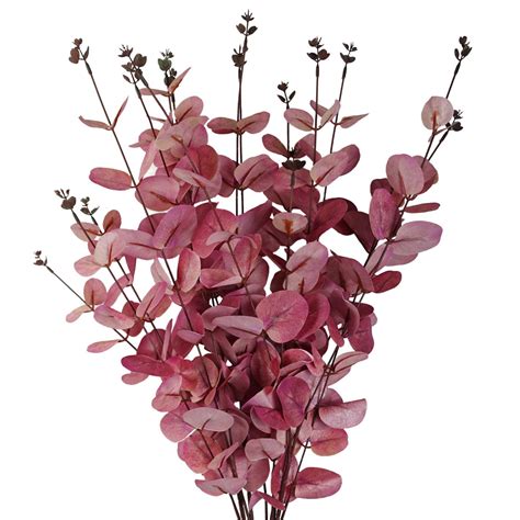 Leaf Pink Eucalyptus Artificial Foliage Stem 80cm 6 Pack Homebase