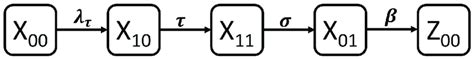 Schematic Diagram Of The Dynamic Model Structure For Rt Pcr And