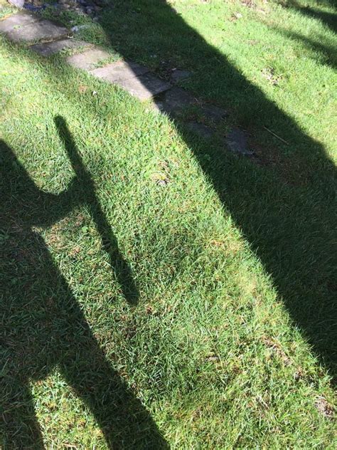 DIY Eclipse Viewer And Printables Learning Resources