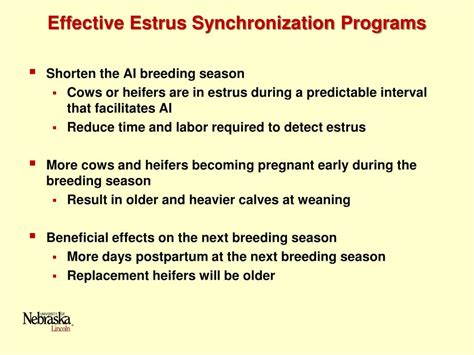 Ppt Reproductive Management In Beef Cattle Estrous Synchronization And Ai Powerpoint