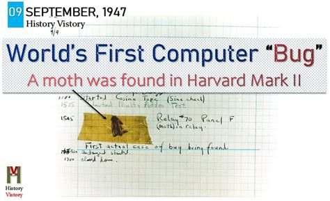 Computer Bug