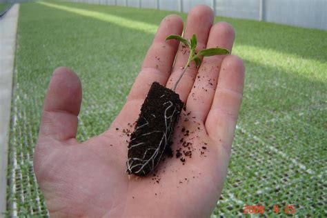 Professional Substrates Arber Horticulture