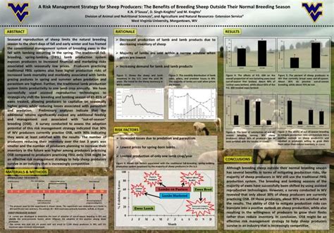 Ppt A Risk Management Strategy For Sheep Producers The Benefits Of