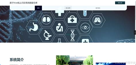 Springboot毕设基于hive线上问诊系统数据仓库源码论文部署基于hive的医疗问诊数据仓库分析设计与实现课题背景 Csdn博客