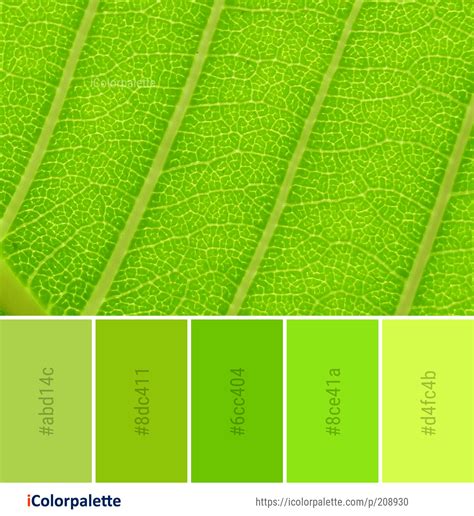Green Leaf Color Palette Ideas