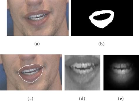 Dynamic Bayesian Network Semantic Scholar