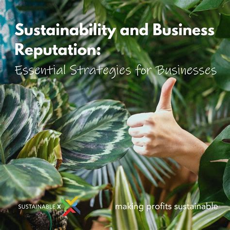 Enhance Your Business Reputation With Sustainability 14 Practical