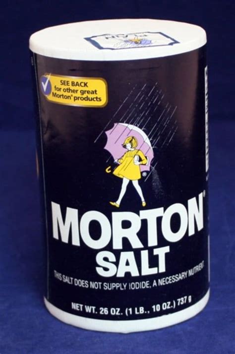 Morton Salt Container