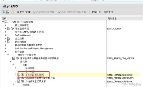 sap s4 fi 后台详细配置教程文档 part2 （财务会计的基本设置篇） csdn博客