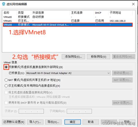 【无标题】虚拟机安装ubuntu18 04 解决“桥接模式无法上网” vm ubuntu 桥接模式无法上网 csdn博客