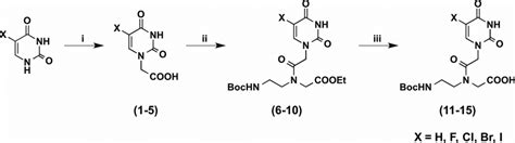 Scheme 1 Reagentsand Conditions For The Syntheses Of Uracil And Download Scientific Diagram
