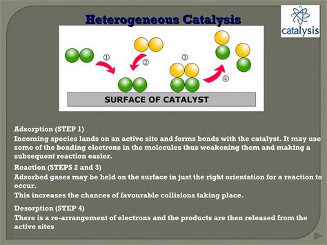 Catalysis Ppt