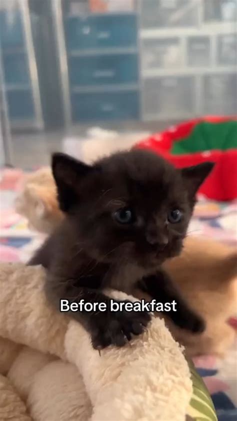 Processes During Server Request And After Server Respond Rcat