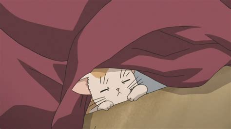 Sukitte Ii Na Yo Random Curiosity