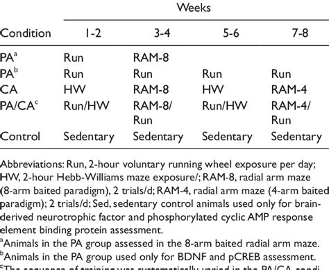 Experimental Paradigm And Timeline For Experiment 1 Download Table