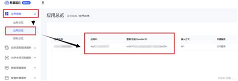 有道翻译api申请教程及示例公式 Csdn博客