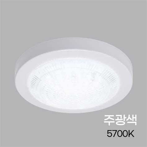 벼룩 장터 소리전자