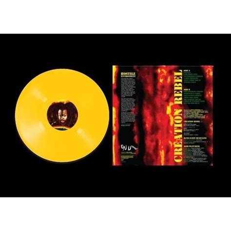 Creation Rebel Hostile Environment Lp The In Groove