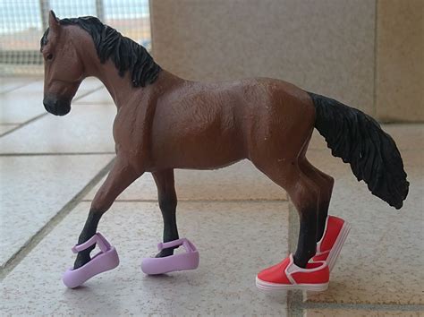 Horse With Shoes