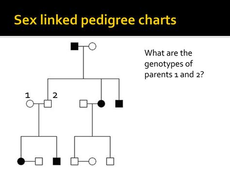 Year 10 Pathway C 2012 New Generations Ppt Download