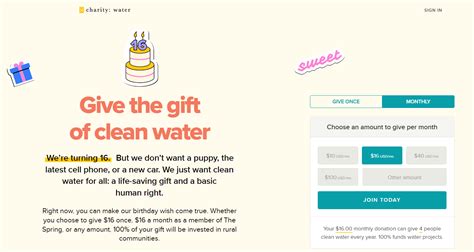 10 Best Donation Form Examples To Improve Your Giving Experience